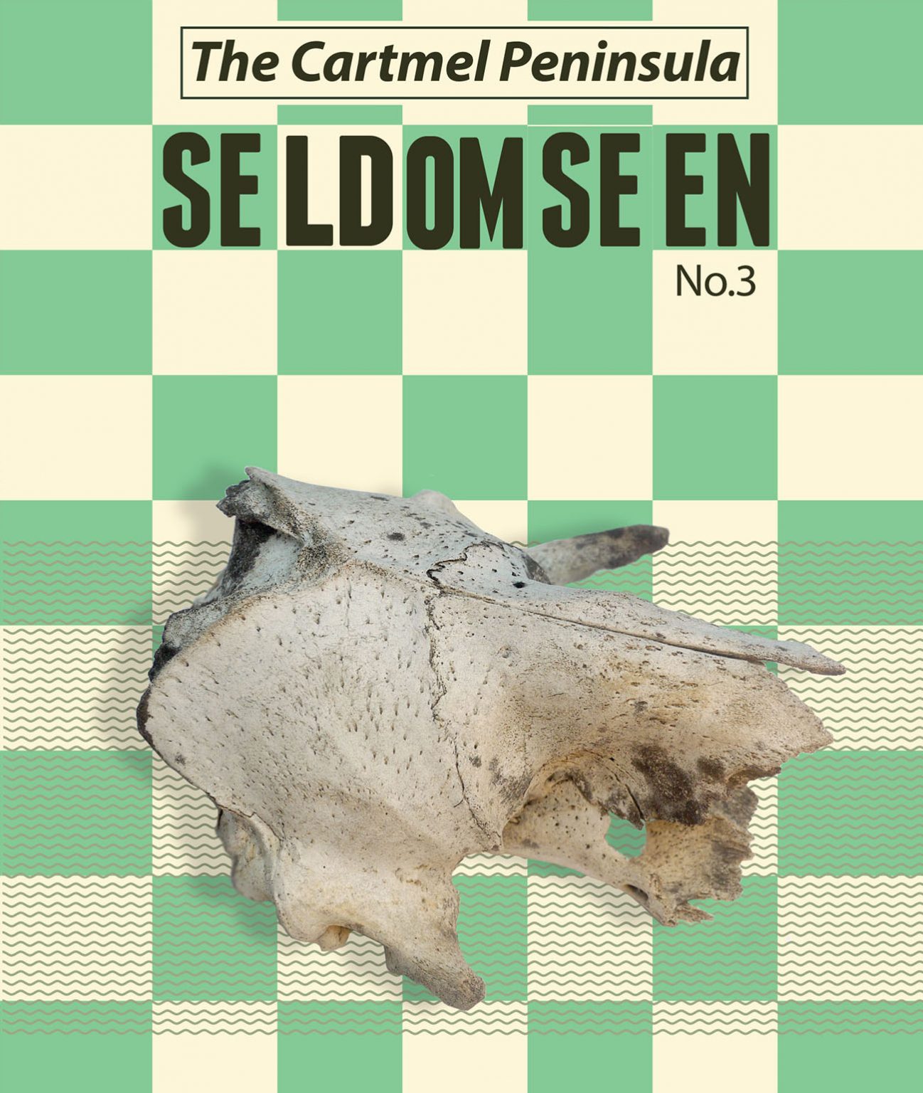 The Seldom Seen™ Series of Maps: Morecambe Bay - Art Gene
