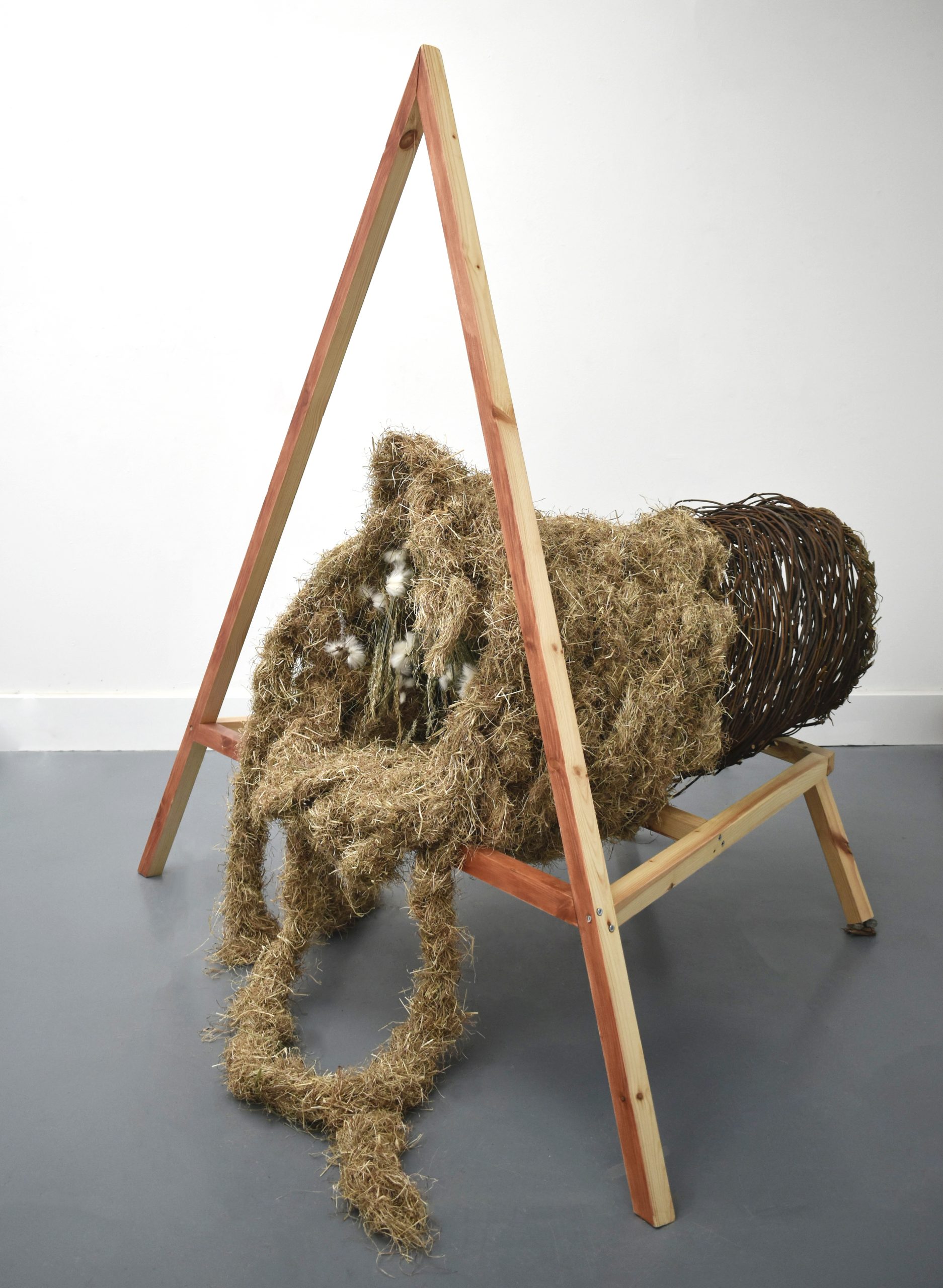 Anna Clough - Art Gene